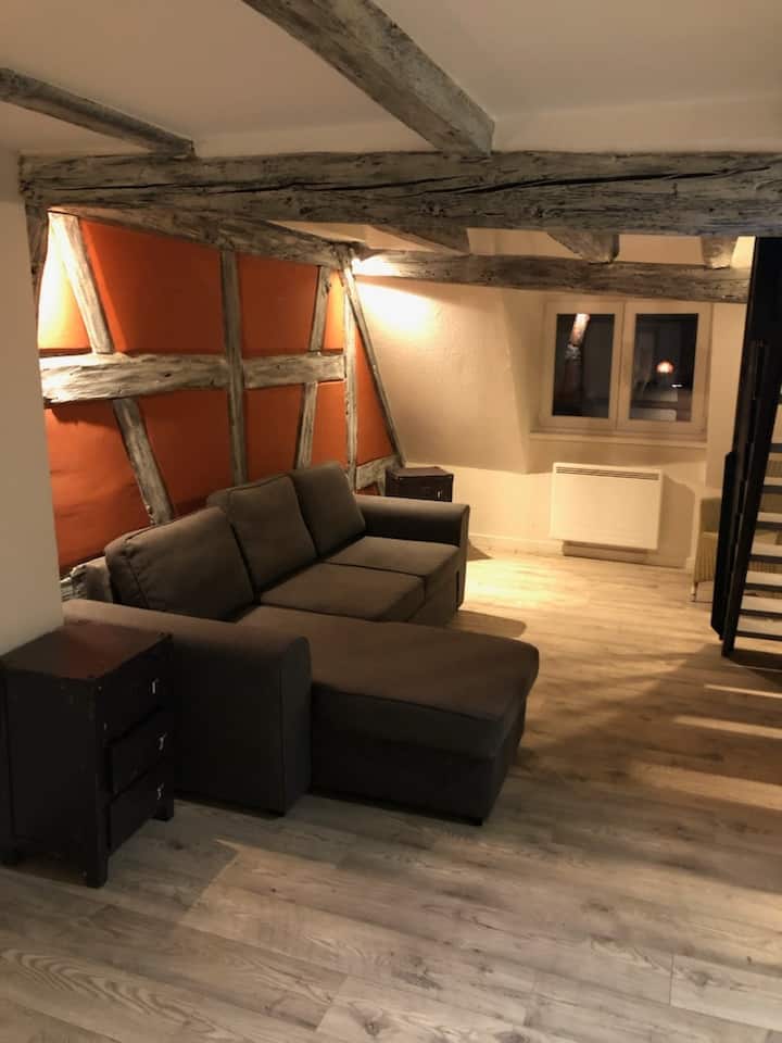 Appartement En Plein Centre - ibis Haguenau Strasbourg Nord