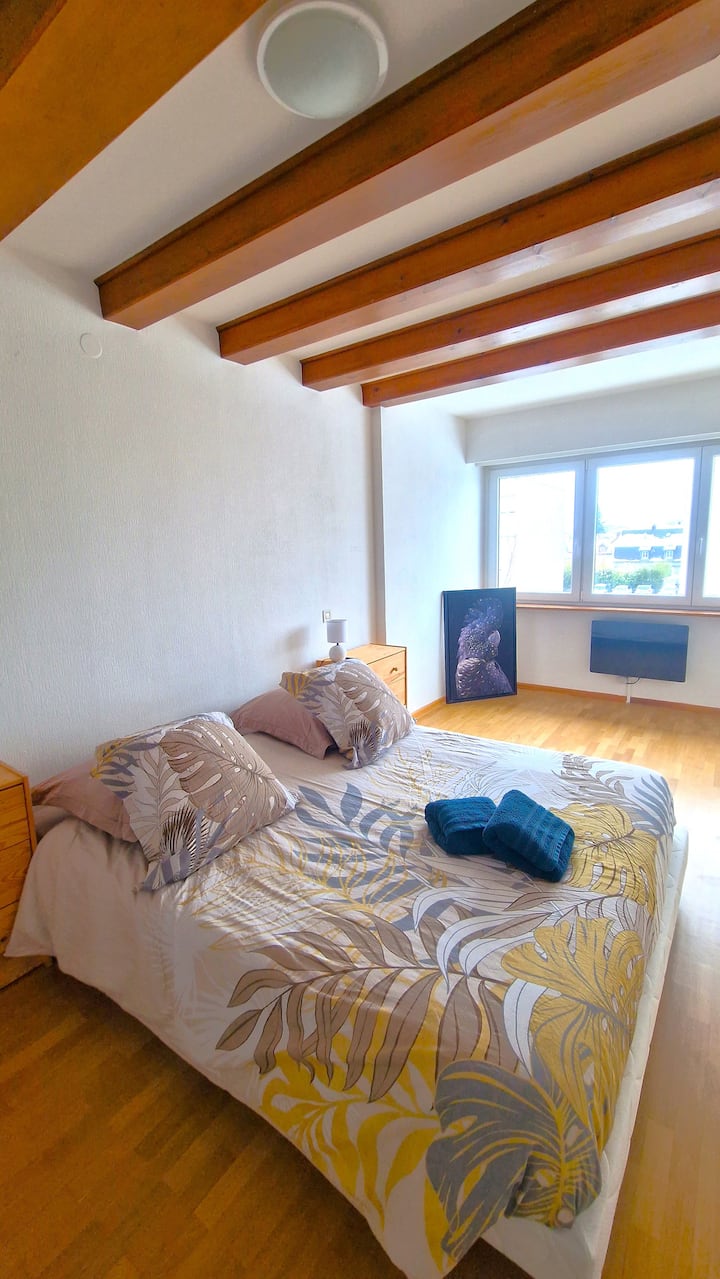 Standing Henner_appartement 75m²_centre-ville - EuroAirport Basel-Mulhouse-Freiburg (BSL)