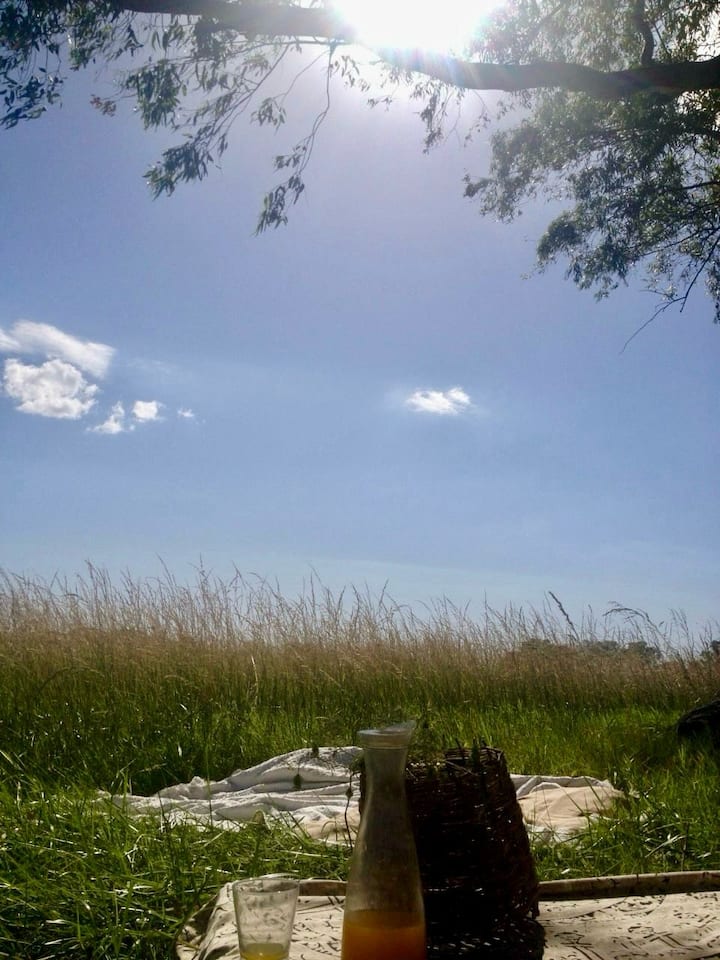 Petion Polo Ranch La Golondrina - Cañuelas