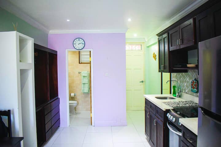 Serene Oasis Retreat - New Kingston - Kingston, Jamaica