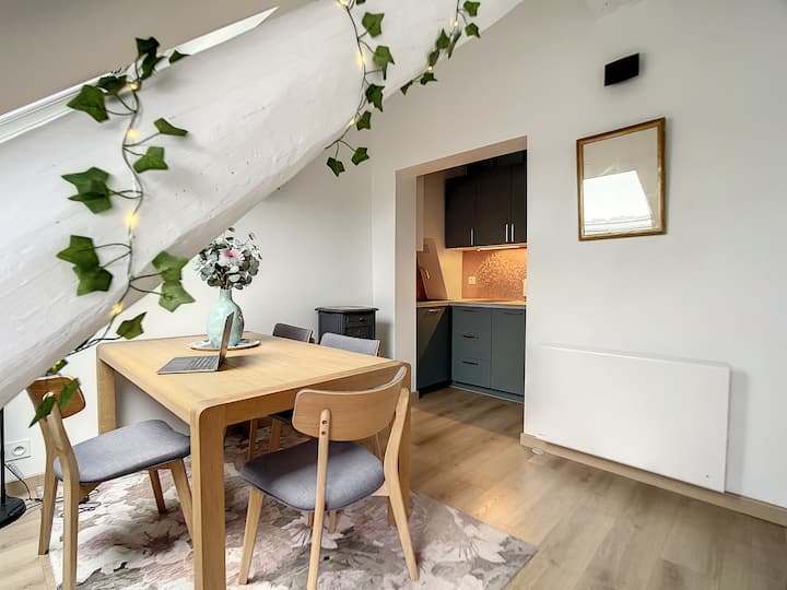 Bel Appart Center Of Paris / Vue Sur Tout Paris - Place des Vosges