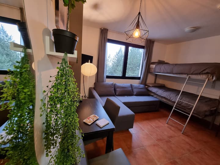 Estudio Zona Baja Monte Gorbea - Sierra Nevada