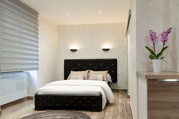 Studio Proche Gare Tgv Et Centre ! - Mulhouse