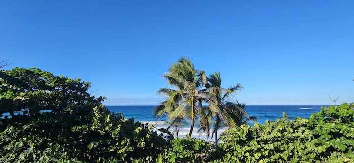 Isabela Beach Studio - Isabela