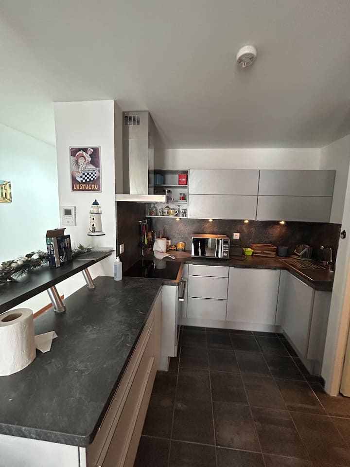 Appart 38 M2, Plage 50 M, Balcon - Bray-Dunes
