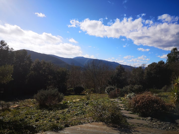 Au Pied Des Vignes De Faugéres - Bédarieux