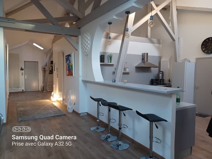 Loft Du Golf - Châlons-en-Champagne