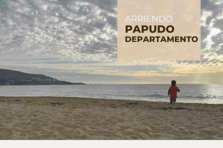Departamento Full Equipado 3d/2b - Punta Puyai - Papudo