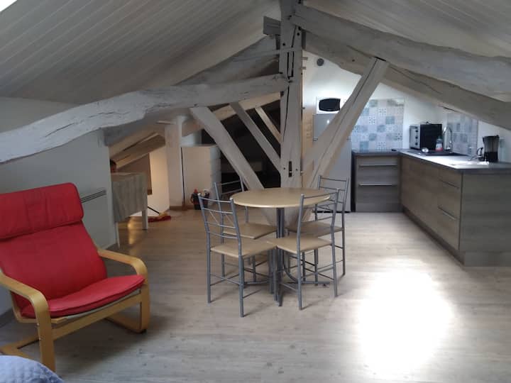 Appartement Sous Toit à Eugénie. - Eugénie-les-Bains