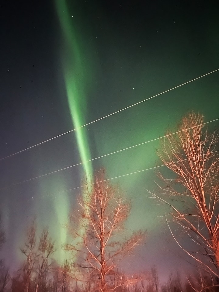 2br Private Suite By Trails & Dt In Cozy Home - Alaska