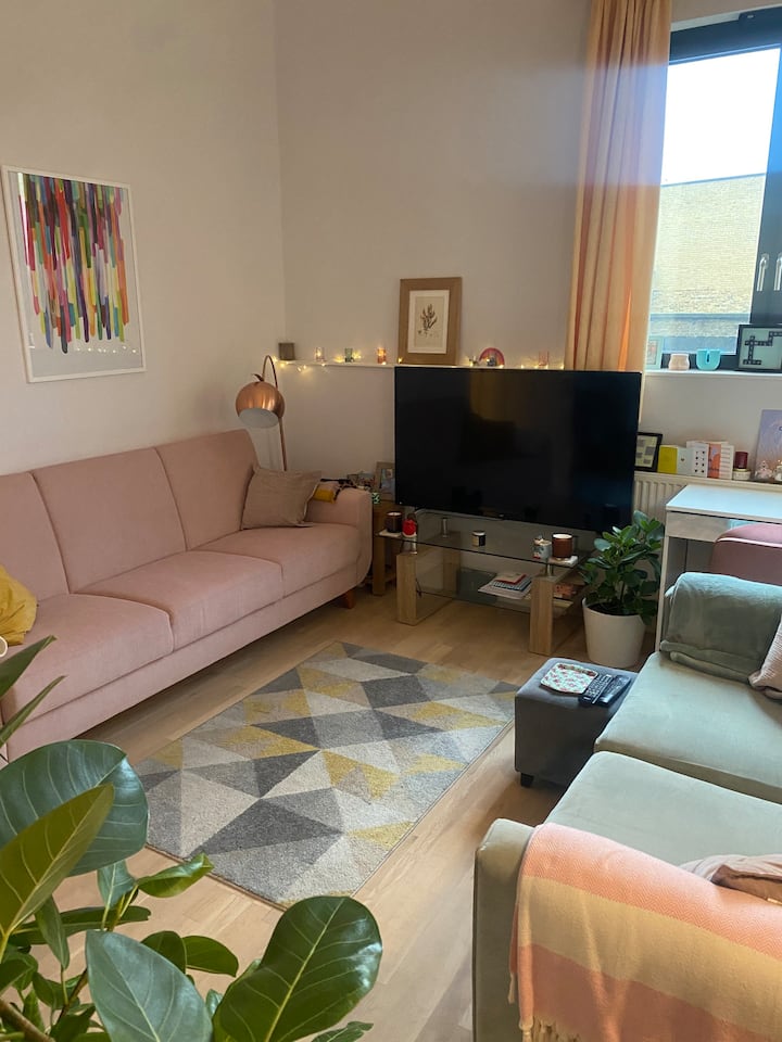 Spacious And Quiet 1 Bed Flat - Fulham