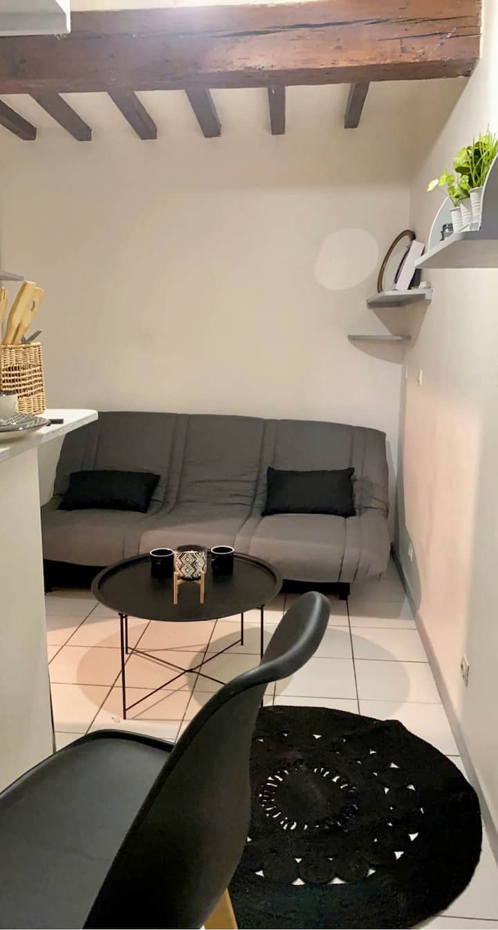 Studio Meublé Cosy Au Cœur De Lyon - Lyon