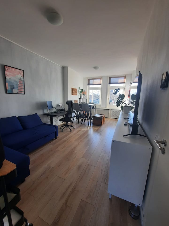 Lovely Apartment Near Downtown - The Hague