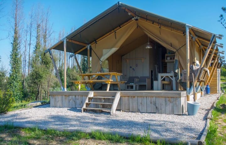 Tent Amarelo - Arganil