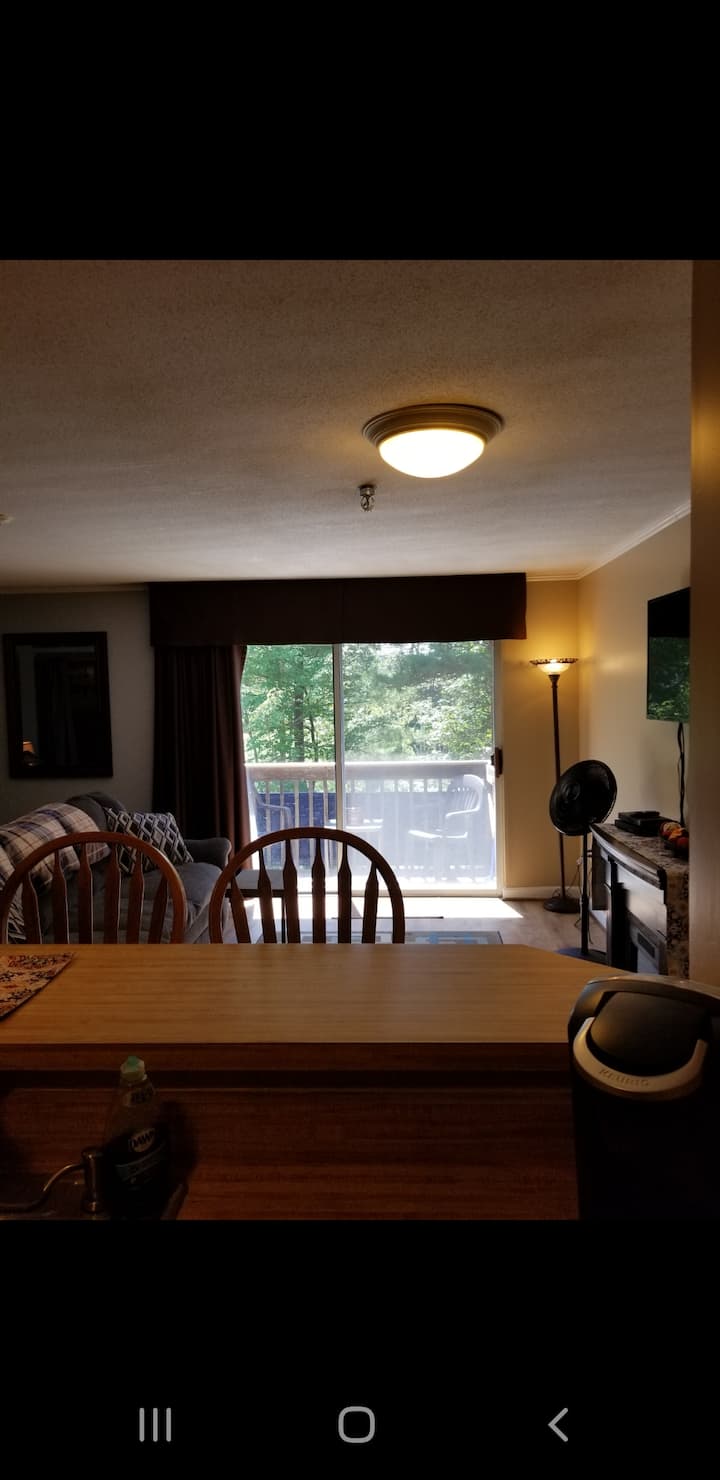 Come Stay & Go Play! - Laconia, NH