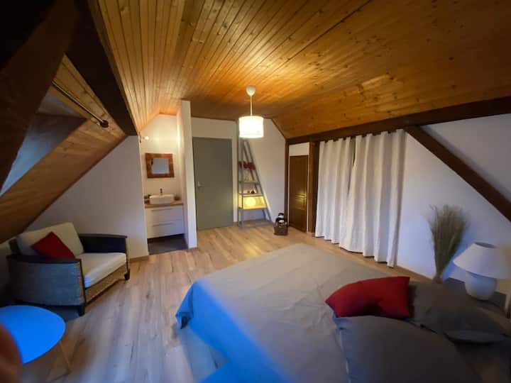 Chambre Double & Cosy-europapark - Rhinau
