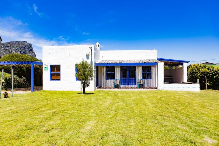 Beach Walker - Pringle Bay