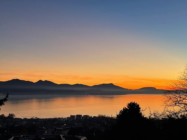 Charming 3-room Apartment, Views Of Lake Geneva - Lausanne