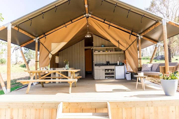 Tent Caramulo - Tábua