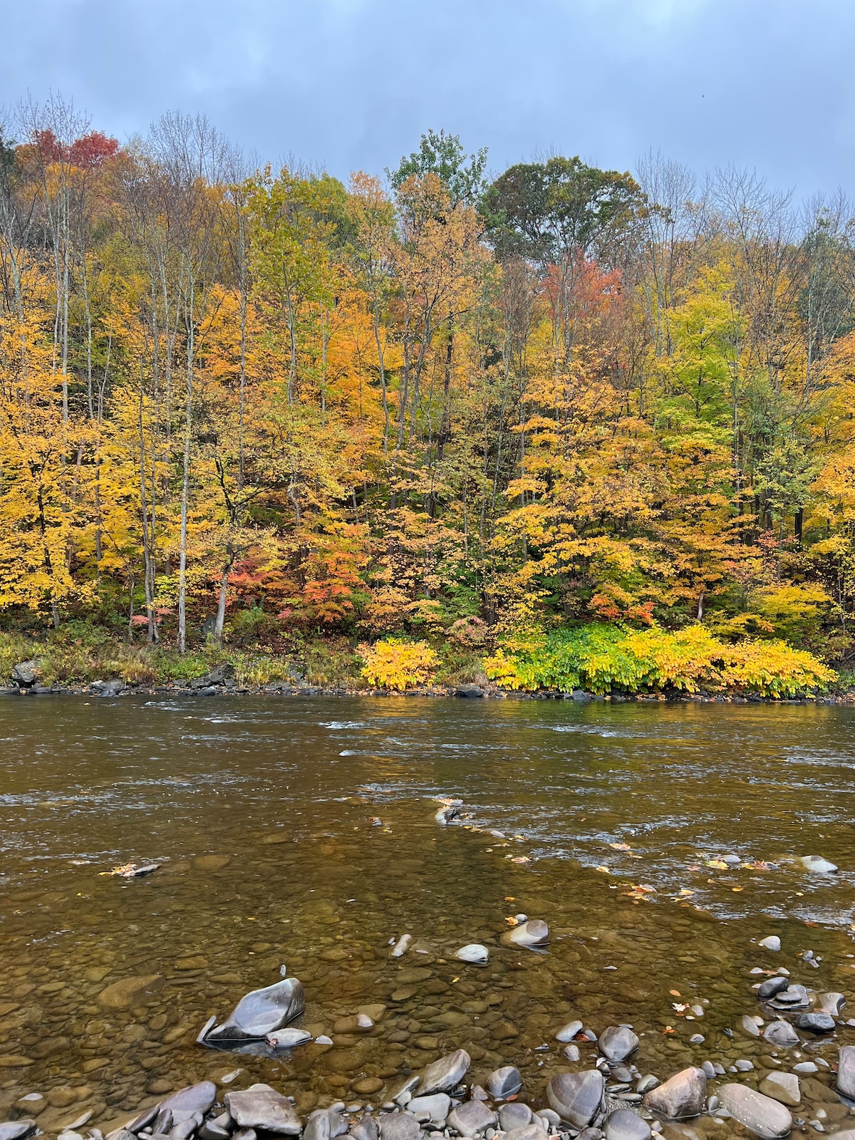 Private River Access, Beaverkill - Guesthouses for Rent in Roscoe, New ...