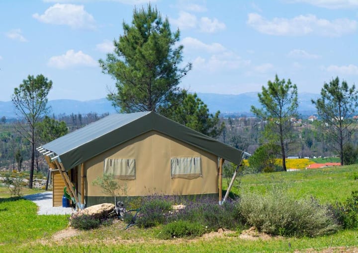 Tent Cinzento - Tábua