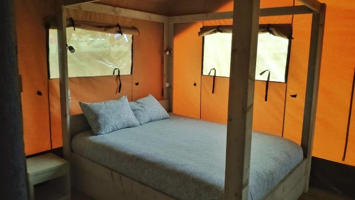 Tent Violeta - Tábua