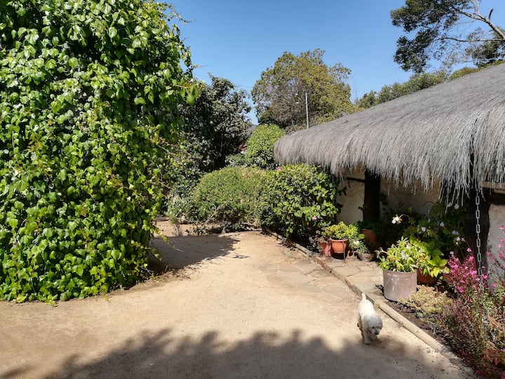 Acogedora Casa En Cachagua - Zapallar