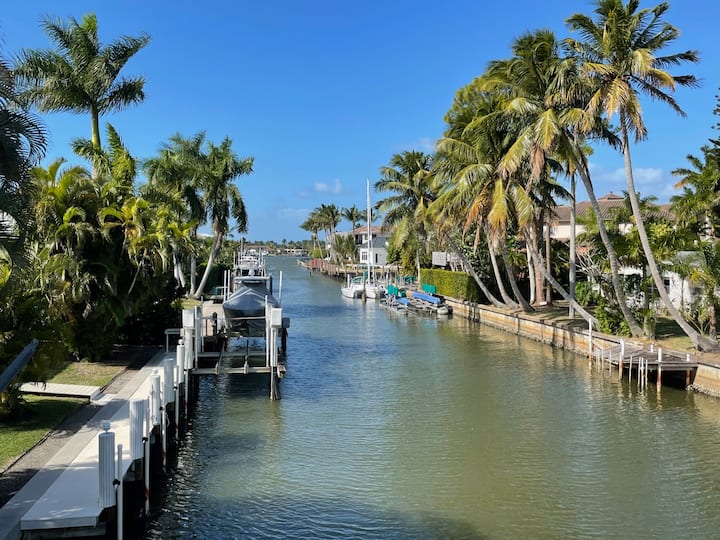 Dolphins In Yard Downtown Naples - Naples, FL