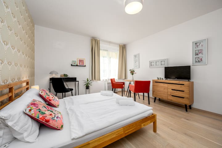 Winter Chill In Art Deco Style In Central Prague - Prague