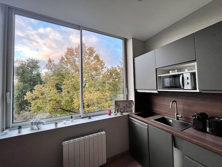 Vaste Studio De Standing, Vue Sur Jardin, Wifi - Villeurbanne