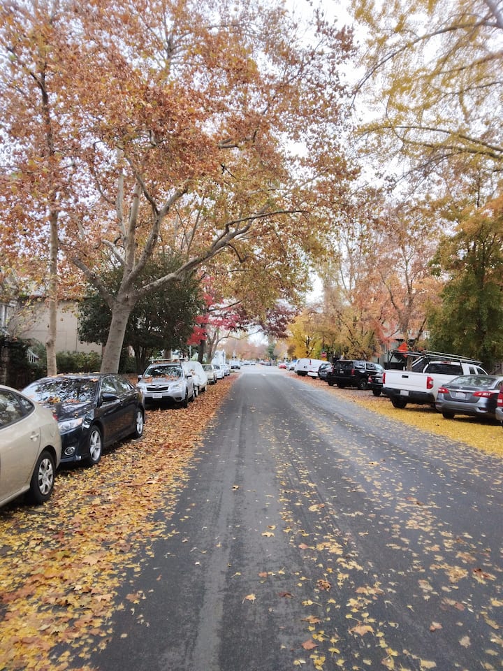 Midtown Jewel - Sacramento, CA