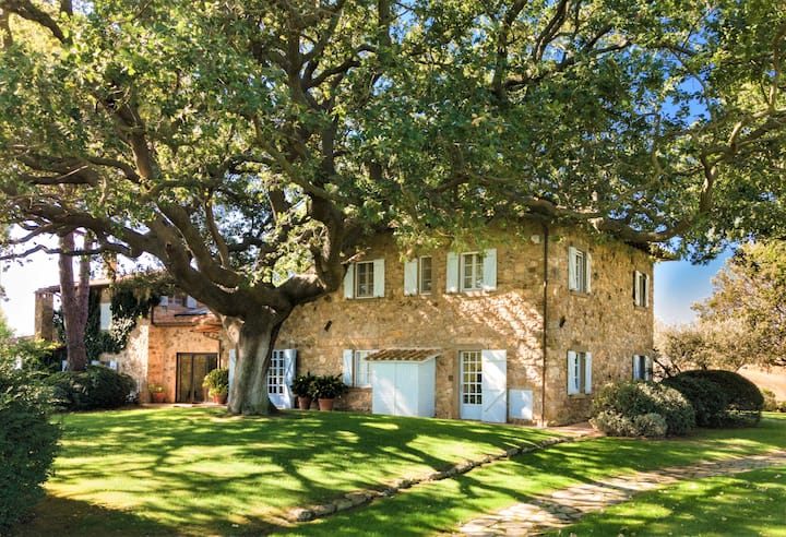 Villa Renaissance: With Pool And Private Park - Montalto di Castro