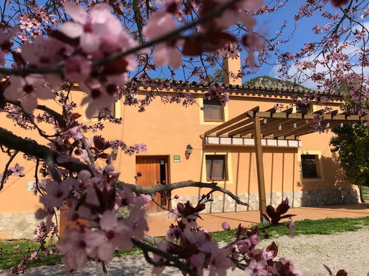 ¡Come To Relax And Enjoy In Penedes! - Catalonia