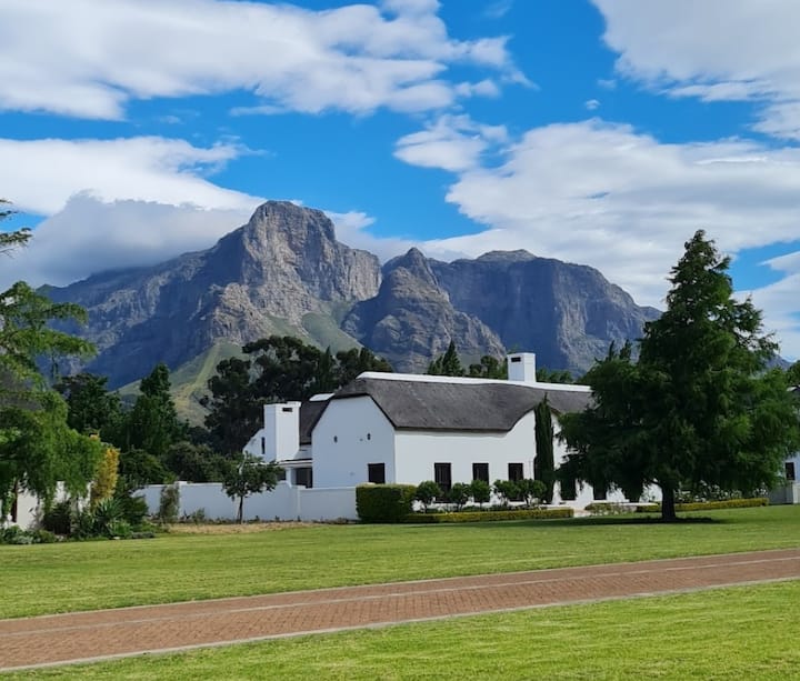 Orange Tree Villa By Steadfast Collection - Pniel