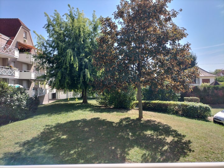 Chez Véro ! à 3 Kms D'obernai - Obernai