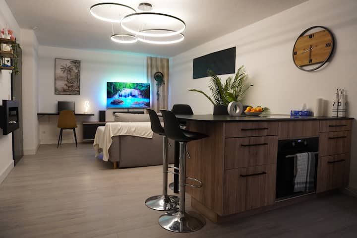 Appartement Cosy - Alpes - La Roche-sur-Foron