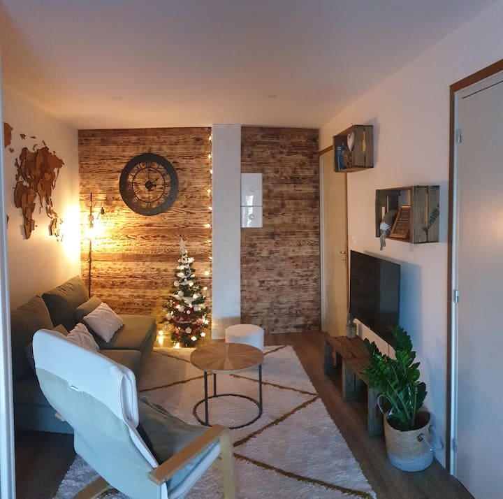 T3 Appartement Au Bord Du Lac De Serre-ponçon - Savines-le-Lac