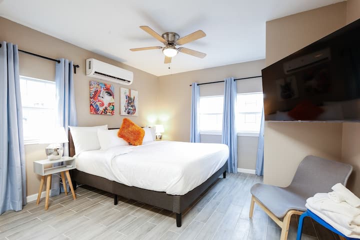 The Palm Flats 03 | Zoo! Museums! Medical Center - Houston, TX