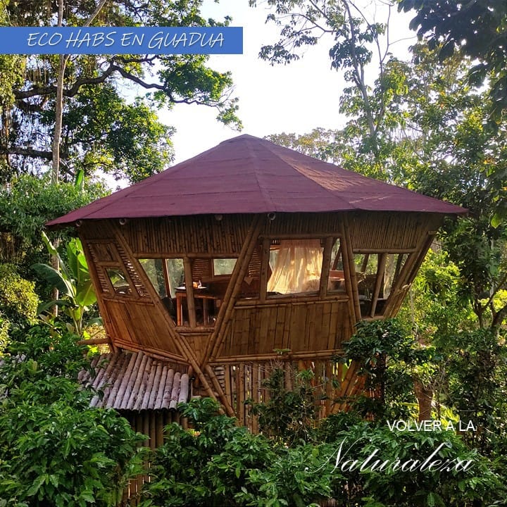 Casa Bambú - Socorro