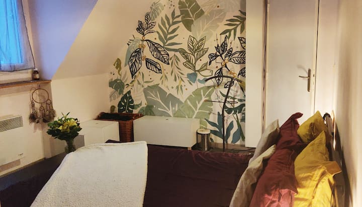 Appartement Cosy Et éQuipé - Straatsburg