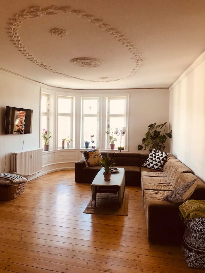 Central Cph, 130 M2, View Over Gammel Kongevej - Copenhagen