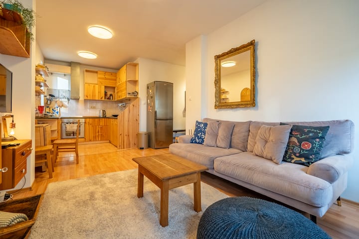 1 Bedroom Natural Condo - Sofía