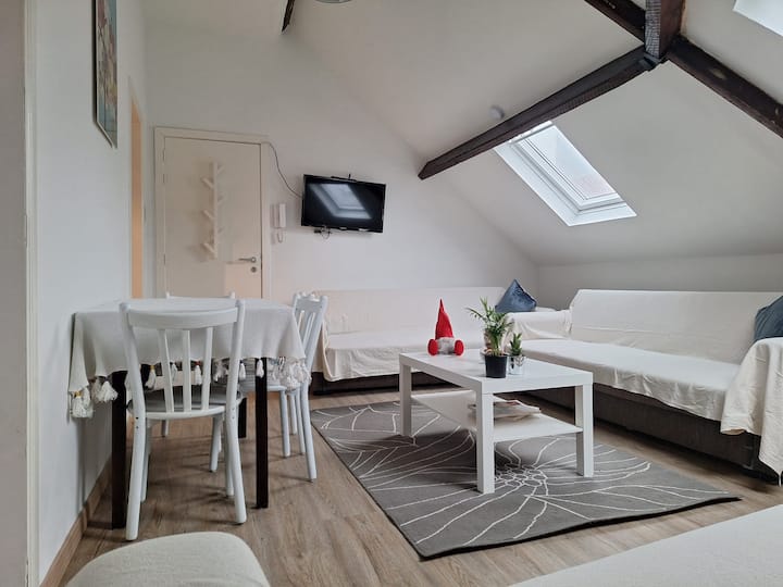 Cozy Nest By Gare Du Midi - Bruselas