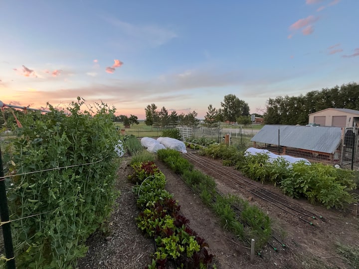 Cottage On Acreage In Ft Collins - Fort Collins, CO