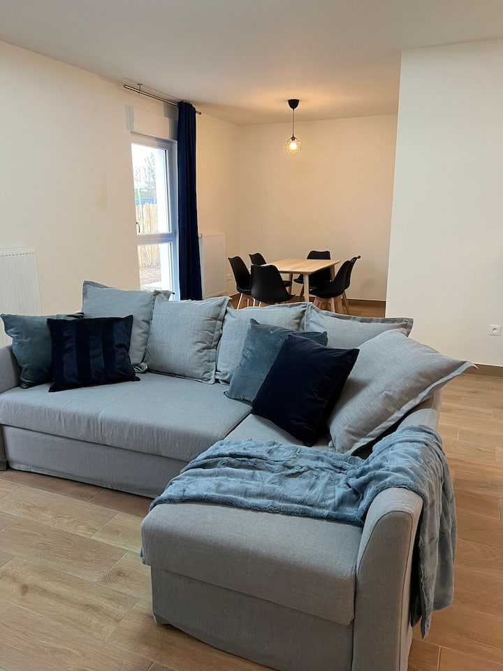 Pierre Home, Parking, 10min Gare - Strasbourg