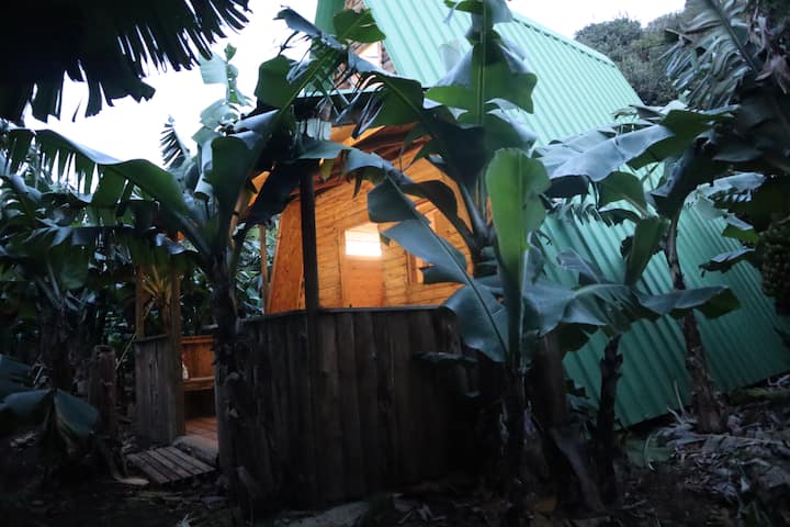 Banana Eco Camp - Big Cabin - Atlantis - Cabins for Rent in São Mateus ...
