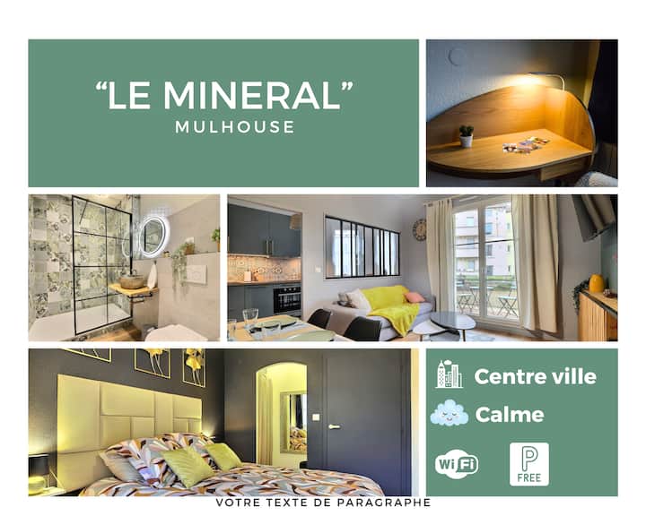 *Le Minéral*prox.centre Ville Parking Privé - Mulhouse