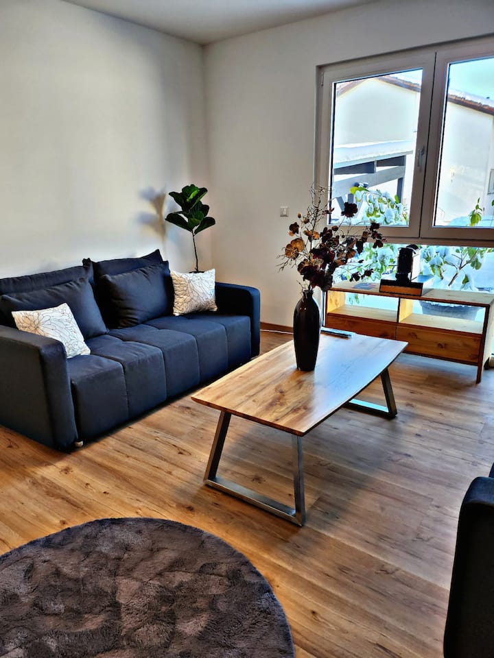 Lions Place Premium Comfort Optional Spa Use - Heidenheim an der Brenz