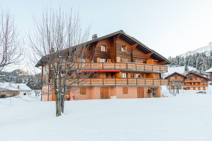 Pic-chaussy B14 - Les Diablerets