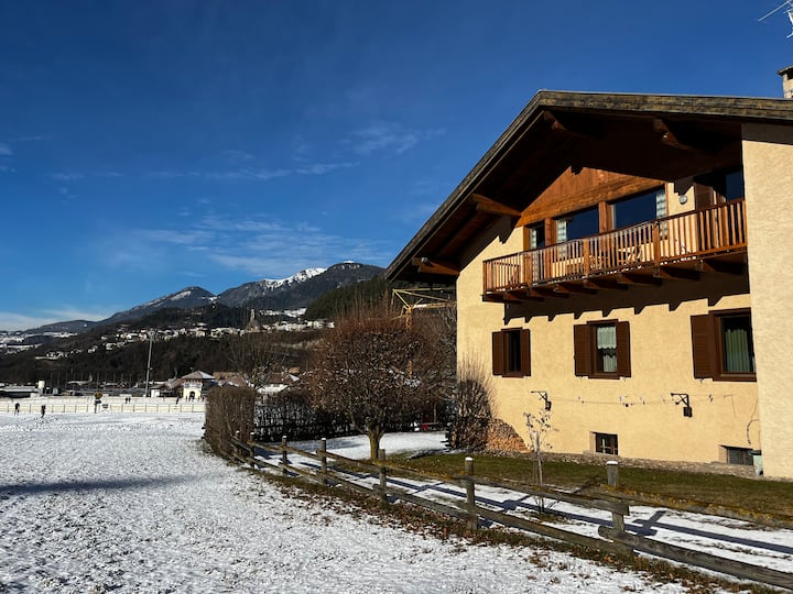 Maso Fassanel - Olympics In Lago Di Tesero - Predazzo